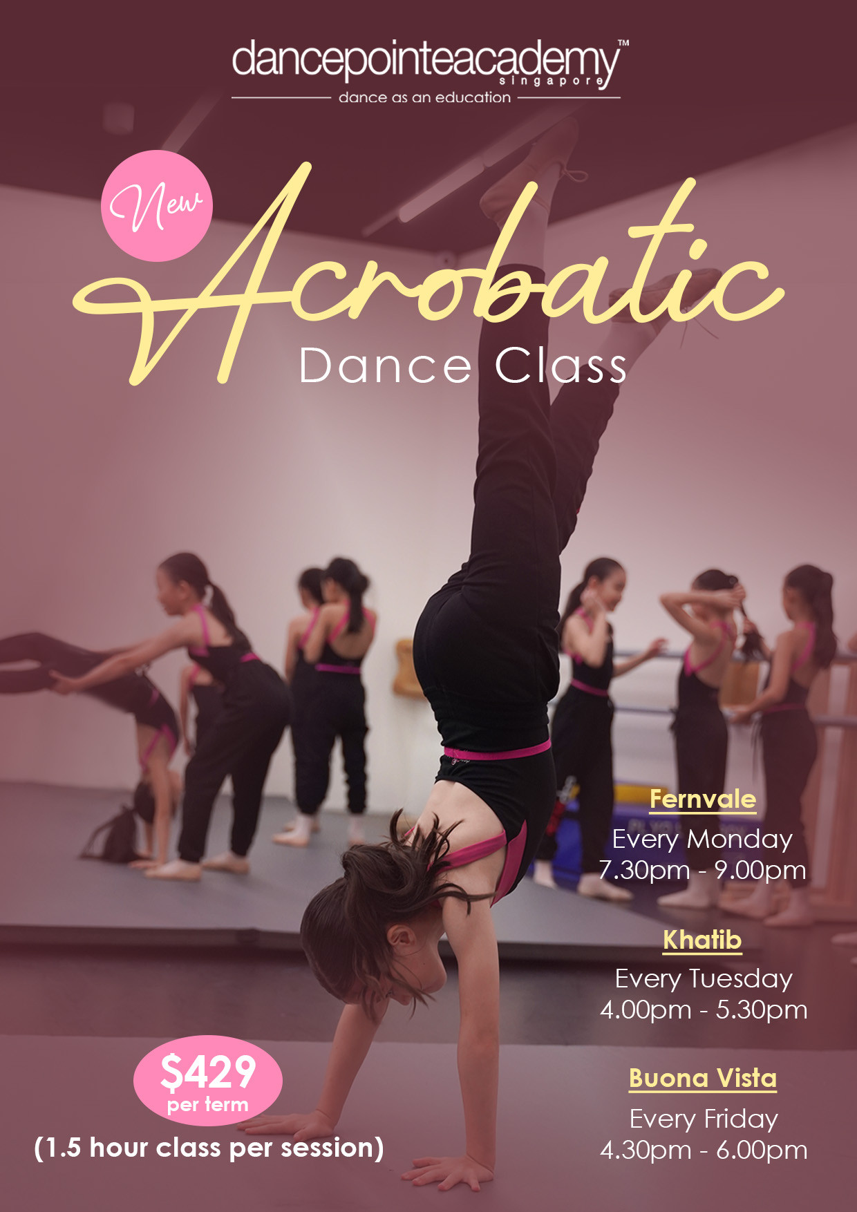 Introducing NEW Acrobatic Class | DPA